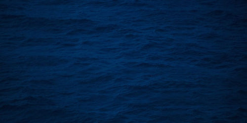 See / Rescue CLRR Personal 25' Or 40' High Visibility Lighted Ocean St